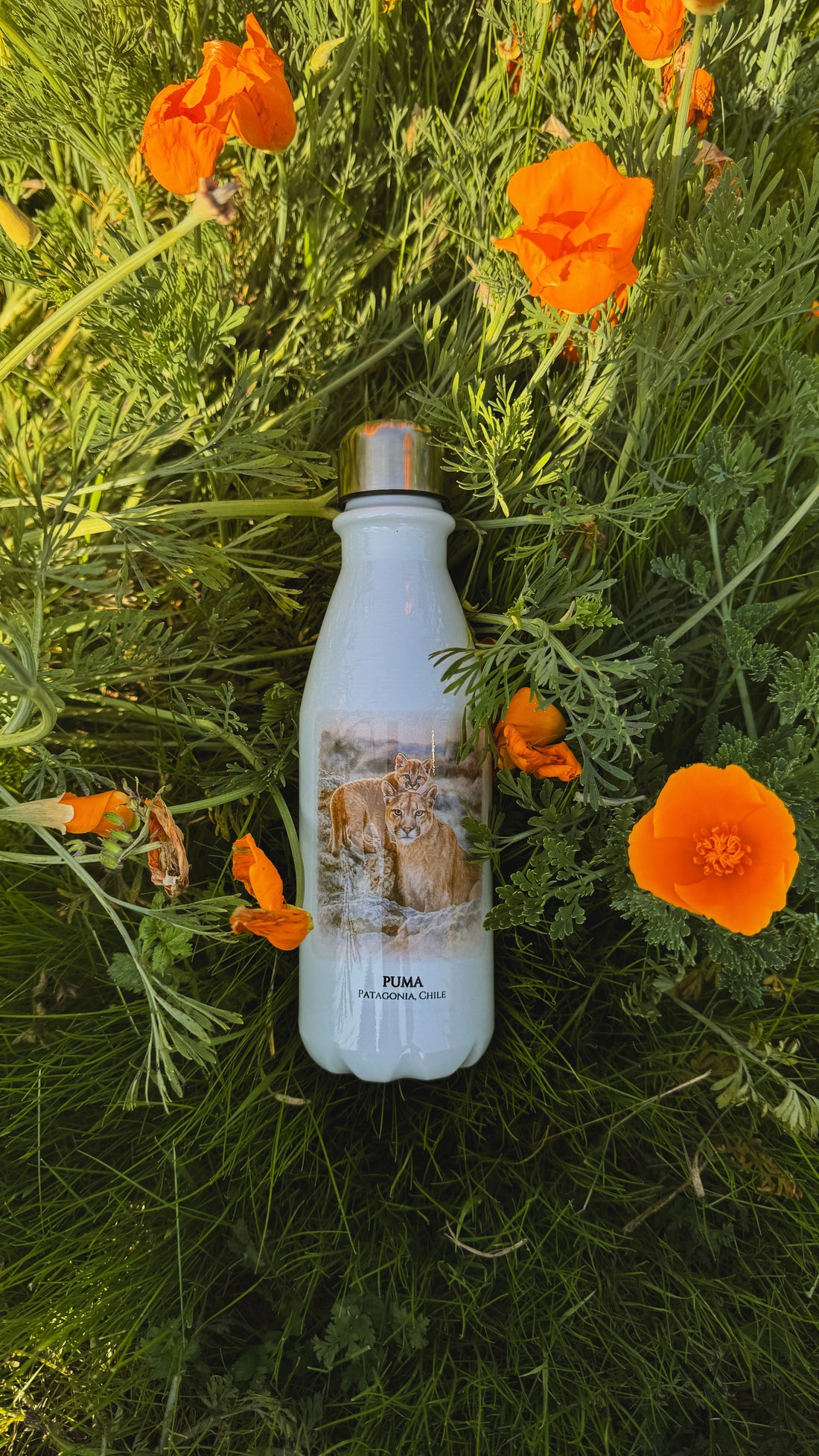 Botella Puma I – Mi tienda